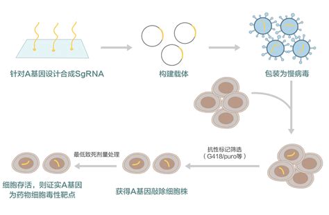2019年国自然基金热点方向CRISPR Cas9技术 组学大讲堂问答社区