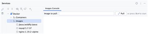 Docker Images IntelliJ IDEA Documentation