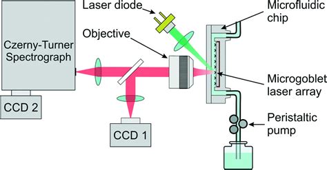 All Polymer Photonic Sensing Platform Based On Whispering Gallery Mode