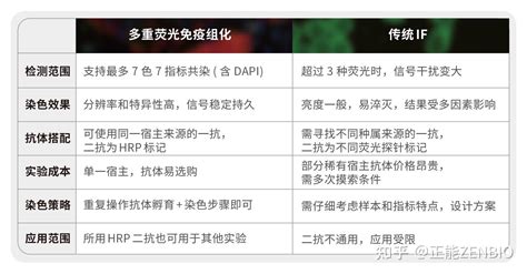 Mihc多重荧光免疫组化 知乎