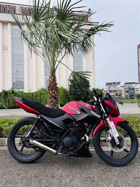 Ybr Esd Standard 1105693695