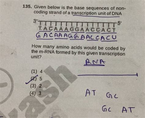 Given Below Is The Base Sequences Of Noncoding Strand Of A Transcription