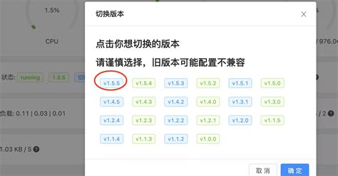 【docker魔法系列】npm与xui共存！nginx Proxy Manager搭配x Ui实现vlesswstls 教程！ 爱玩实验室