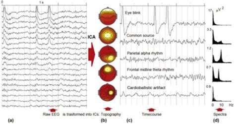 Software Review EEGLAB Toolbox Human Computer Interface Laboratory