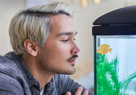 Daniel M Mh Model Management