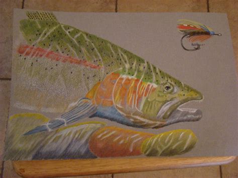 Rainbow Trout Drawing Completed