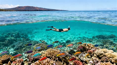 Your Ultimate Guide To Kona Hawaii Snorkel Adventures Kona Snorkel Trips