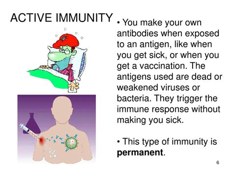 Unit 3 Part 2 Immune System Ppt Download