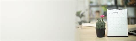 달력 책상과 선인장이 테이블 위에 놓여 있습니다 플래너를위한 데스크톱 캘린더 계획 의제 시간표 약속 조직 관리 각 날짜 월 연도 나무 사무실 책상 파노라마 이미지 0명에