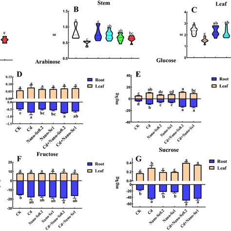 Effect Of The Interaction Of Nanoselenium Nano Se And Cadmium Cd On Download Scientific