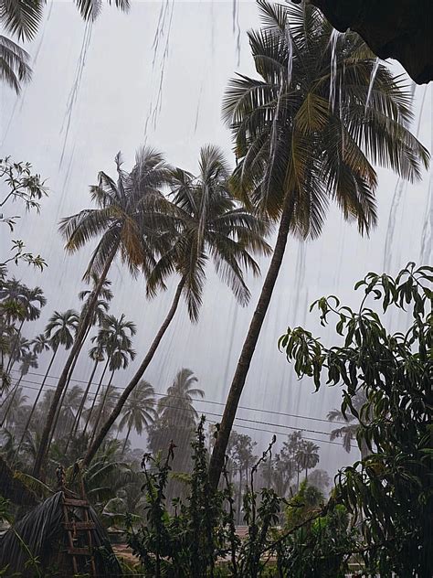 100daysofcode codingmeetscreativity photographyandprogramming