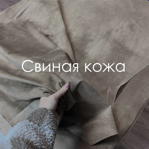 Свиная кожа купить в Москве и Санкт-Петербурге оптом и в розницу
