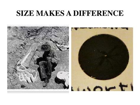 Ppt Microfossil Conservation Powerpoint Presentation Free Download Id 2116008