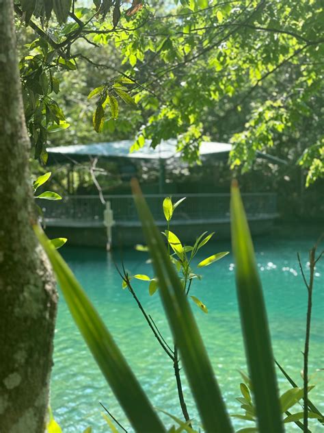 The Healing Waters Of Homosassa What Makes These Springs Special