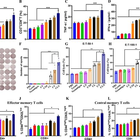 Flow Cytometry And Elispot Analysis And Ctl Assays A The Percentage Download Scientific