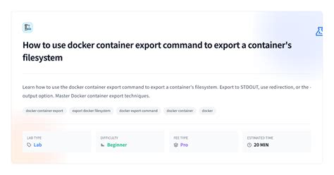 How To Use Docker Container Export Command To Export A Containers Filesystem Labex