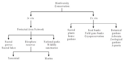 Iucn Full Form What Is Iucn Iucn Categories