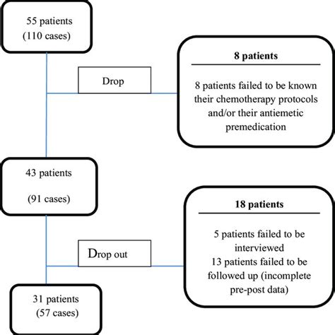 Level Of Severity Nausea And Vomiting Of Breast Cancer Patients In Download Scientific Diagram