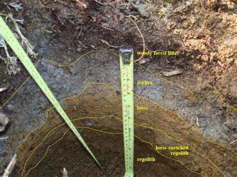 Specific Gravity Test At Best Price In Lakhimpur Kheri By Hi Tech Testing Research Center ID