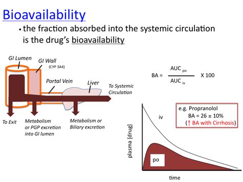 Nursing Bibs Bioavailability