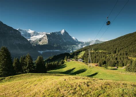 Visite De Grindelwald First Action Aventure Et Plus Switzerlanding