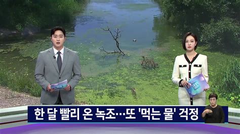 부산경남대표방송 Knn 통합검색