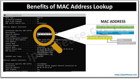 Benefits Of Mac Address Lookup For Identifying And Resolving Network Issues Ip With Ease