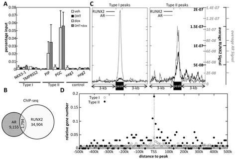 Differential Effects Of Runx2 On The Androgen Receptor In Prostate Cancer Synergistic