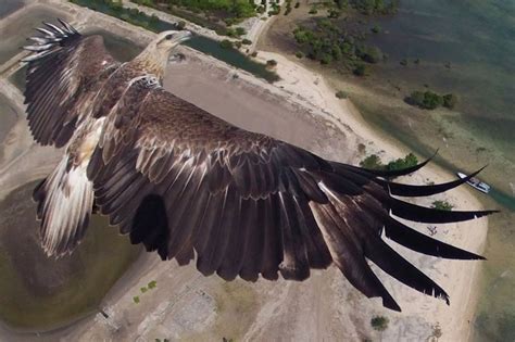 Most Amazing Ariel Shots Mirror Online