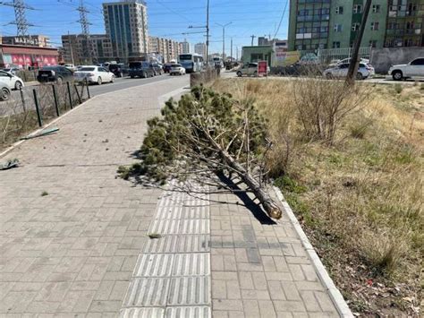 ЯРИЛЦЛАГА ГЭРЭЛТ ИРЭЭДҮЙ КОВИД 19 ЭРГЭЛТИЙН ДУРАН Согтуу жолооч замын хажуугийн хашлага болон