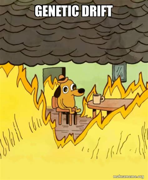 Genetic Drift This Is Fine Meme Generator