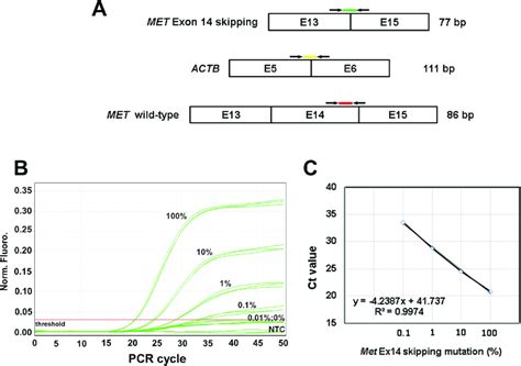 The Design And Performance Of Met Exon 14 Skipping Mutation Qpcr