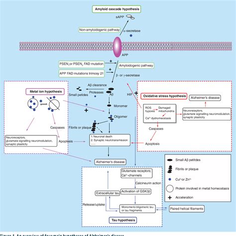 Figure 1 From Targeting β Amyloid Plaques And Oligomers Development Of Near Ir Fluorescence