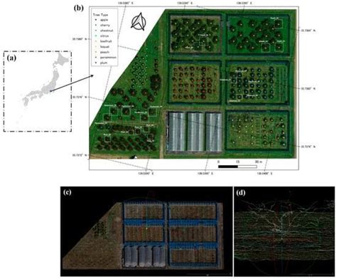 Tree Branch Skeleton Extraction From Drone Based Photogrammetric Point Cloud Drones Mdpi