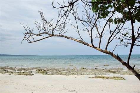 Imperative Mood For Git Commit Message By Rahul A R Medium