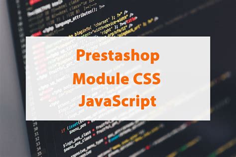 Module D Ajout De Code Css Et Javascript