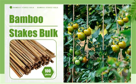 Suzile 60 Bamboo Stakes Bulk Natural Plant Stakes Bamboo