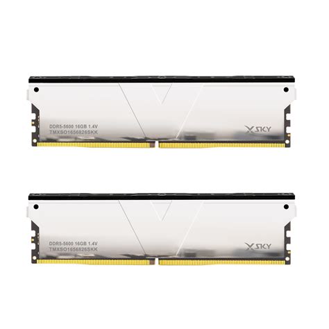 Ddr5 [manta] Xsky Low Timing Intel Xmp Gaming Memory