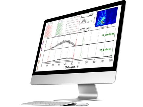 Powerful Software For Surface Emg Analysis And Research Applications