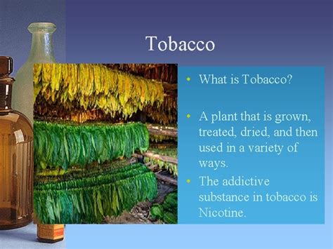 Tobacco Alcohol Other Drugs Tobacco What Are Drugs