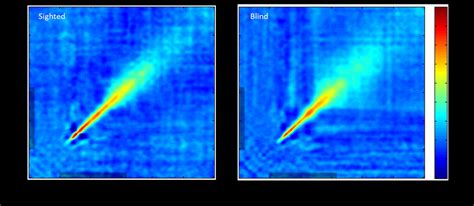 Time Time Meg Decoding Matrices Heat Map Of The Average Temporal