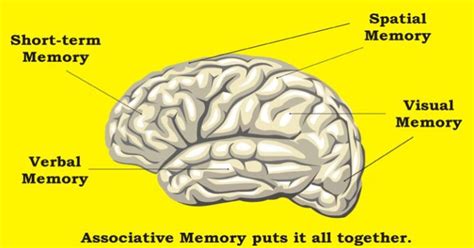 Short Term Memory Loss Causes Symptoms And Treatment