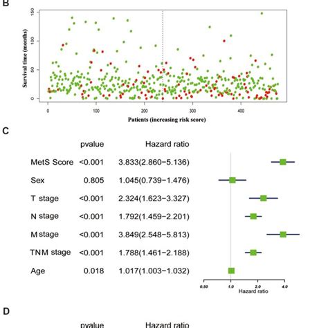 The Distribution Of Gene Mets Score In The Tcga Cohort A K M