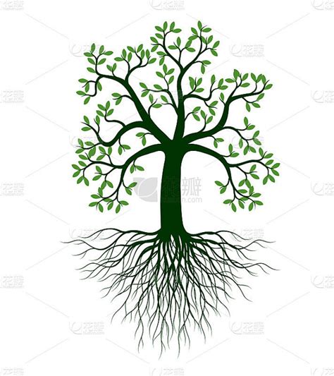 树的形状有叶子和根。矢量插图轮廓。植物在花园。