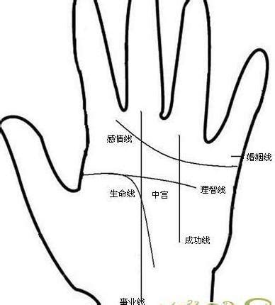 手相分析有两条感情线代表什么 手相 感情线 周易算命网