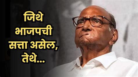 पाच राज्यांच्या विधानसभा निवडणुकांबाबत शरद पवारांचं मोठं विधान म्हणाले