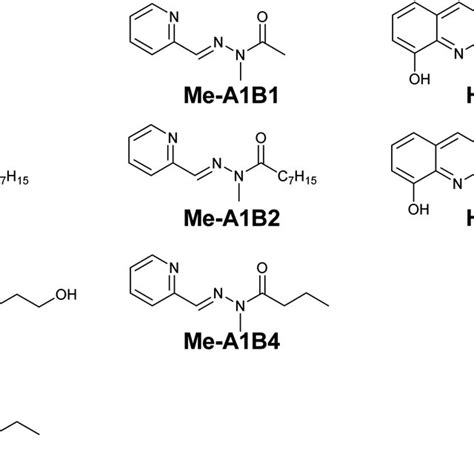 Molecular Structures Of The Complexes A [cu Ii Ha1b1 2] No3 2 Type Download Scientific