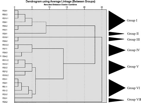 Dendrogram Of Hierarchical Cluster Based Phenotypic Characteristics