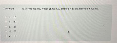 Solved There Are ﻿different Codons Which Encode 20 ﻿amino