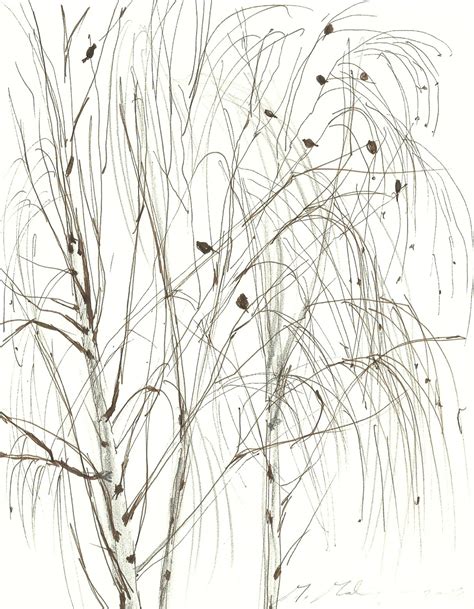Birch Tree Drawing At PaintingValley Com Explore Collection Of Birch Tree Drawing